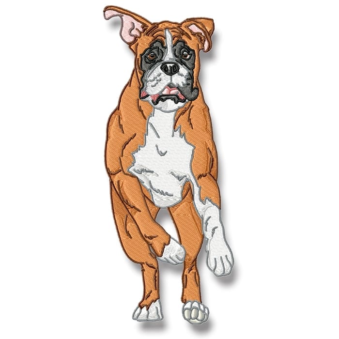 Boxer Realistic Embroidery - Pam's Embroidery Designs