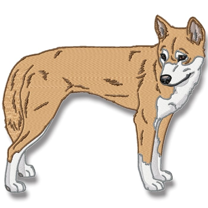 Dingo Realistic Embroidery - Pam's Embroidery Designs
