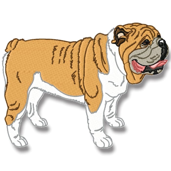 English Bulldog Realistic Embroidery - Pam's Embroidery Designs