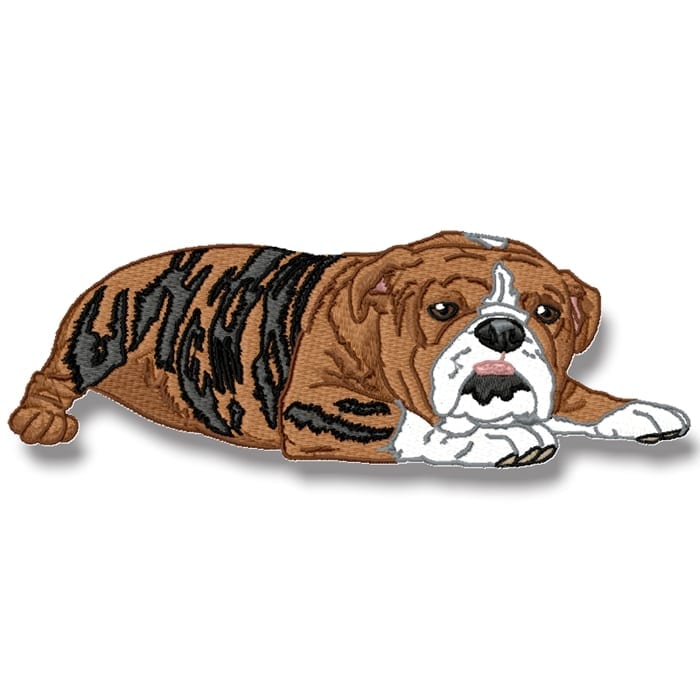 English Bulldog Realistic Embroidery - Pam's Embroidery Designs
