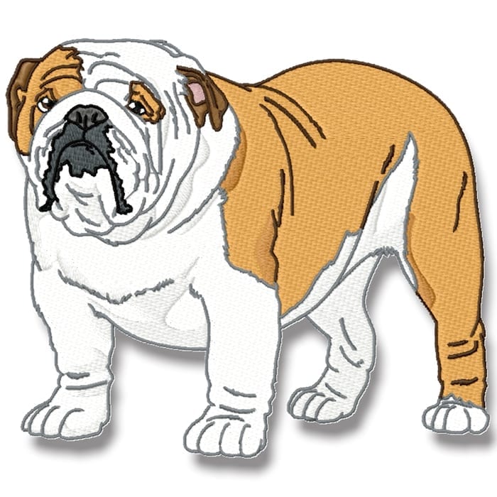 English Bulldog Realistic Embroidery - Pam's Embroidery Designs