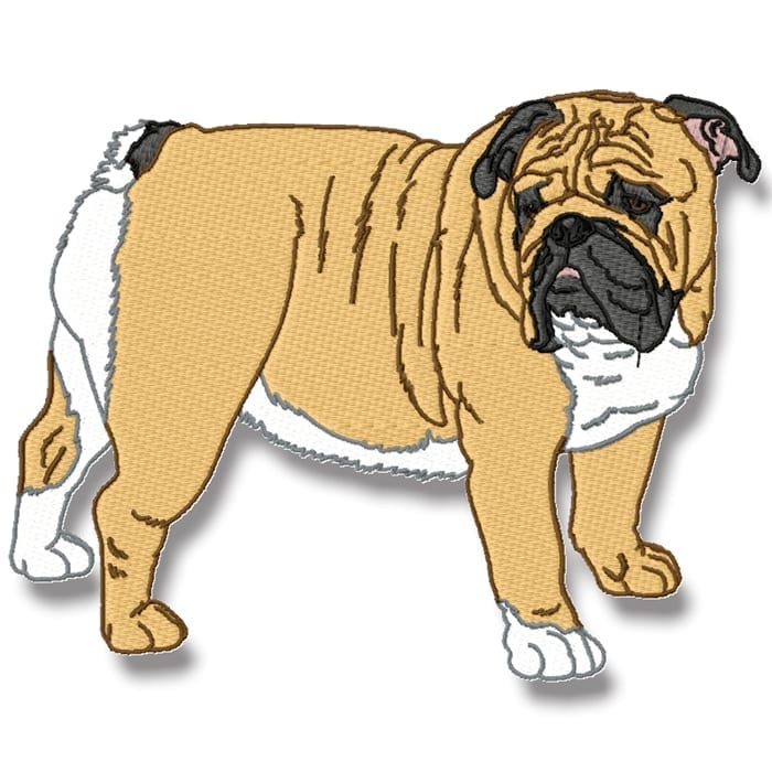 English Bulldog Realistic Embroidery - Pam's Embroidery Designs