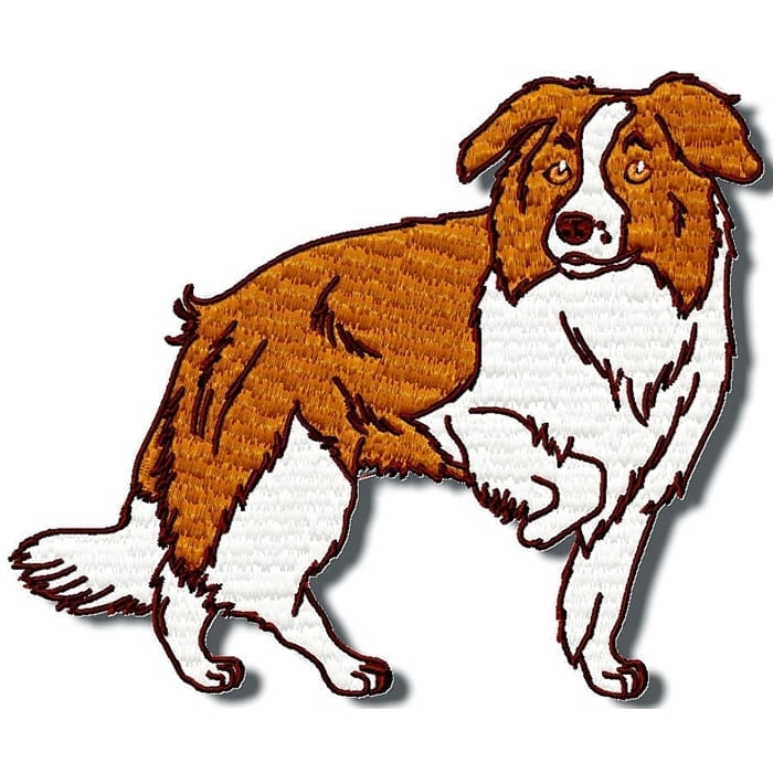 Border Collie Realistic Embroidery - Pam's Embroidery Designs