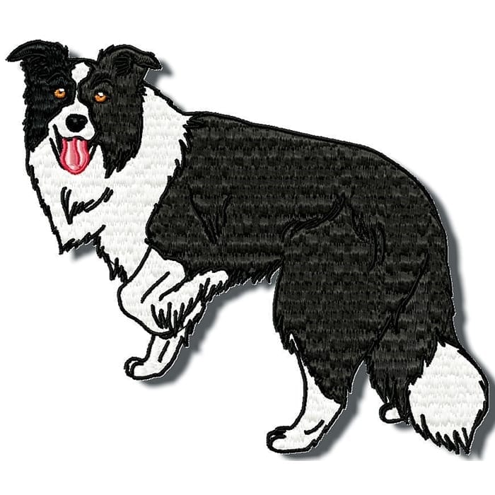 Border Collie Realistic Embroidery - Pam's Embroidery Designs