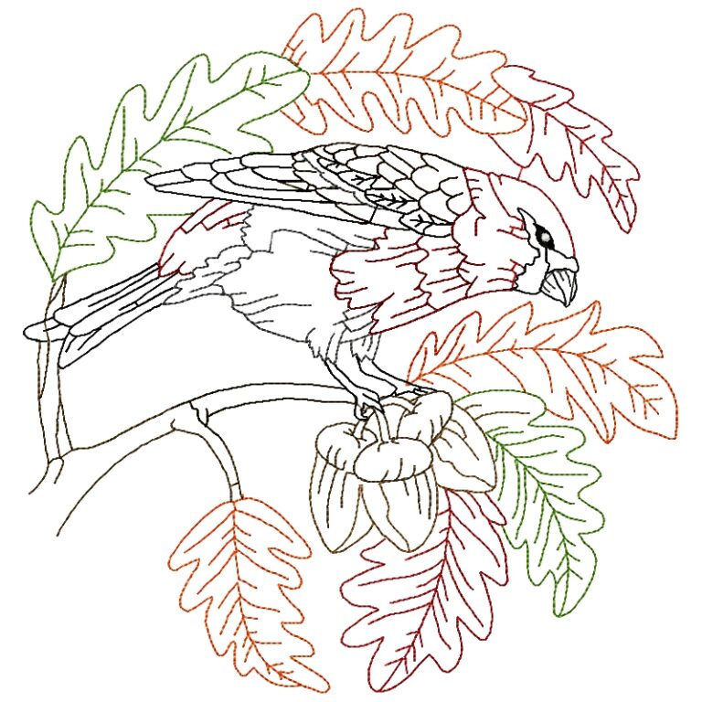 Birds Line Work Circles Machine Embroidery - Pam's Embroidery Designs